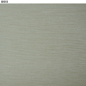 B1013